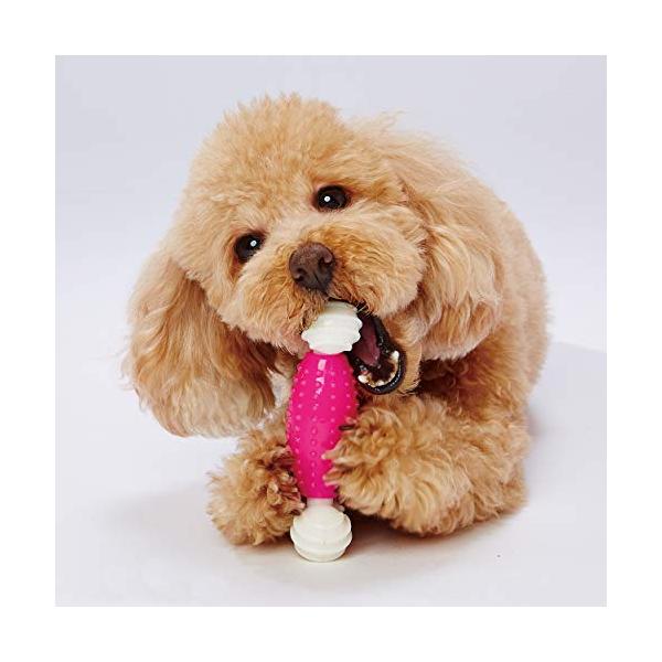 【ご購入後の当店からの連絡はご登録のメールアドレスに通知いたします。必ずご確認ください】【商品概要】本体サイズ (幅X奥行X高さ) :12.3×3.5×19cm本体重量:0.12kg原産国:中華人民共和国【商品説明】説明商品紹介かたい・やわ...