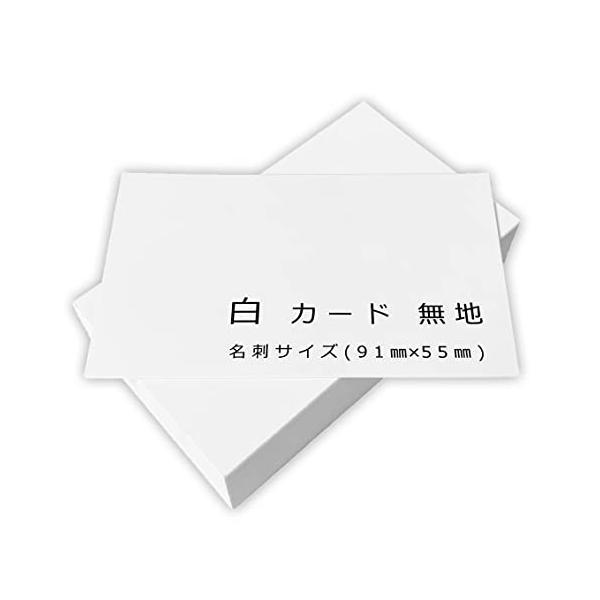 【ご購入後の当店からの連絡はご登録のメールアドレスに通知いたします。必ずご確認ください】