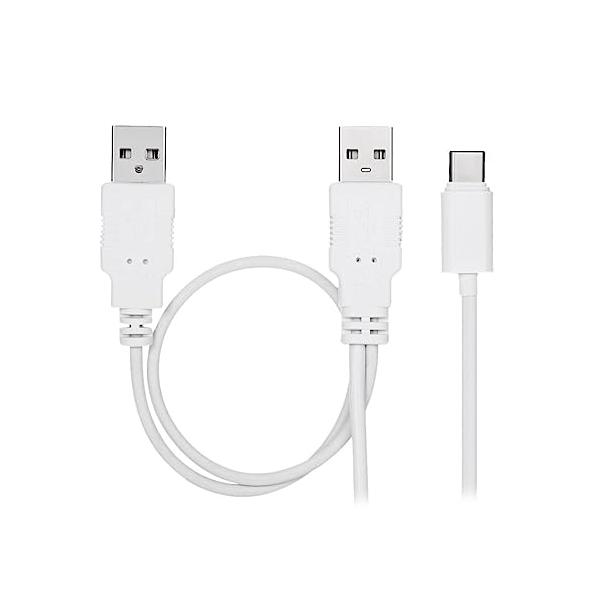 【ご購入後の当店からの連絡はご登録のメールアドレスに通知いたします。必ずご確認ください】【商品概要】CYケーブル USB 3.1 Type C USB-C - デュアルAオス 予備電源データYケーブル 電話ハードディスク用2つのUSBオスコ...