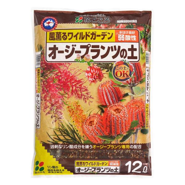 【ご購入後の当店からの連絡はご登録のメールアドレスに通知いたします。必ずご確認ください】