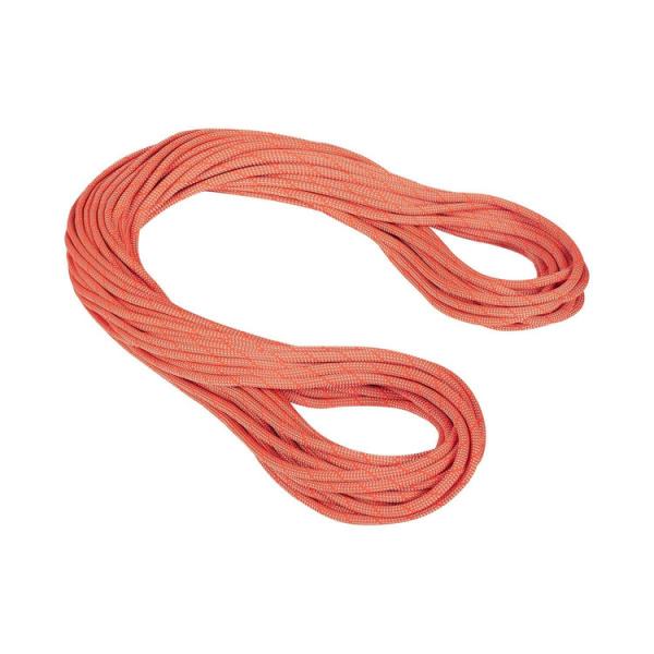 9.8 Crag Classic Rope 60m品番 2010-04270オールラウンドクライマーに最適の「9.8 Crag Classic Rope」。MAMMUTのベストセラーである,Eternityをベースにしたシングルロープです。...