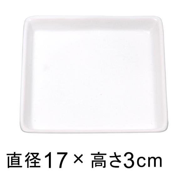 植木鉢 陶器鉢 受け皿 鉢皿直径17cm　高さ3cm　内底直径13.5cm（直径は四角の1辺の長さです）重さ ： 約 0.65kg色 ： 白つや無＜適合する鉢＞鉢の底の直径 13cm以下　の鉢結露などにより底面を濡らすことがあります受皿には...