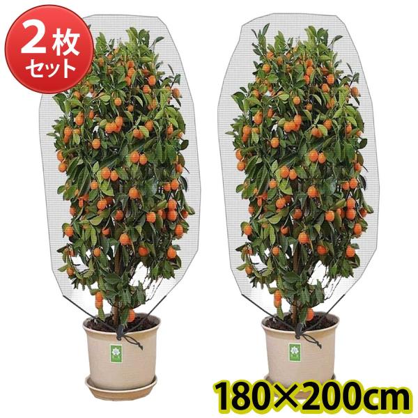 iikuru 植物 カバー 2枚セット 簡単 保護 防寒 霜よけ 防虫 対策 園芸用品 プランター 観葉植物 ネット【 選べるサイズバリエーション 】植物の大きさに合わせて選べる豊富なサイズバリエーション。鉢植えの大きさに合わせてピッタリサ...