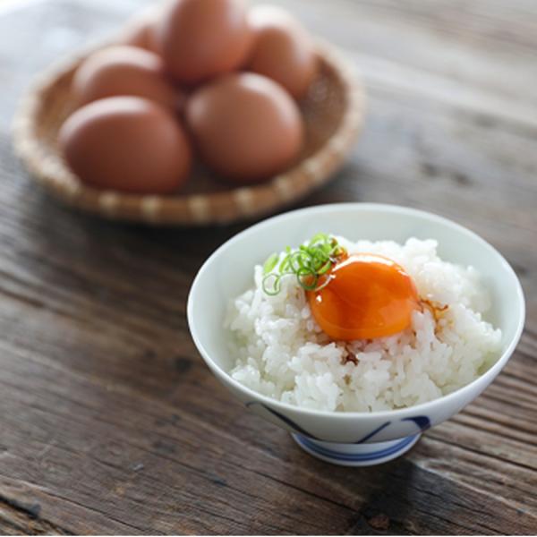 山形県庄内町の養鶏場で飼育する地養鶏が産んだ卵です。毎日の食卓に上るものだから、おいしくて、栄養価が高く、安心なたまごをお届けするために鶏舎内の管理を徹底し生産しています。