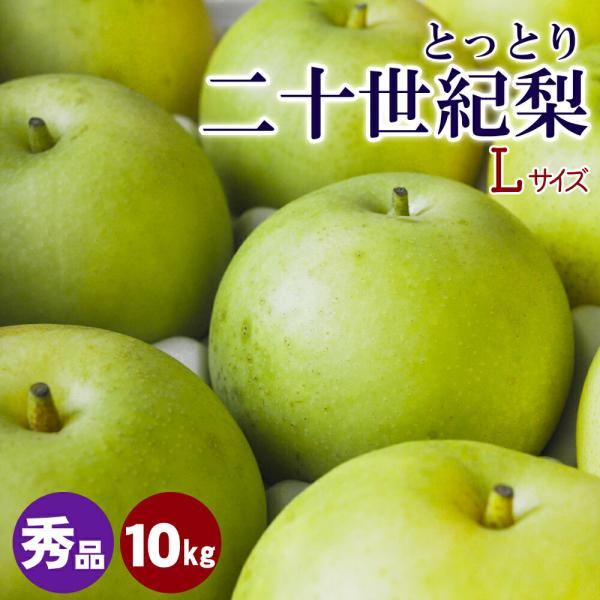 【発売日：2017年08月30日】商品名 二十世紀梨（20世紀梨）内容量・サイズ 10kgセット（Lサイズ：32玉前後）ご贈答用 秀玉保存方法・賞味期限 冷暗所で保存、早めにお召し上がりください。生産地 鳥取県発送元 山田農園（鳥取県八頭町...
