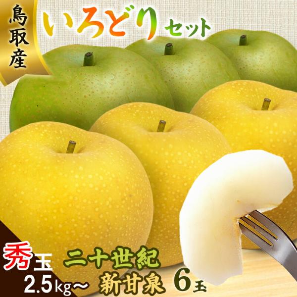 商品名 いろどりセット内容量・サイズ 二十世紀梨3玉、新甘泉3玉（計6玉：大玉）ご贈答用 秀玉保存方法・賞味期限 冷暗所で保存、早めにお召し上がりください。生産地 鳥取県発送元 山田農園（鳥取県八頭町）配送に関するご注意 発送開始後はご注文...