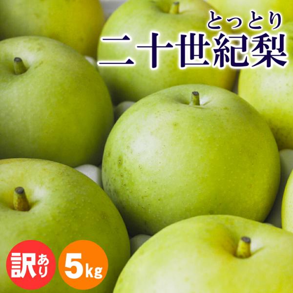 【発売日：2017年08月30日】商品名 二十世紀梨（20世紀梨）内容量・サイズ 5kgセット（16-18玉前後）ご自宅用【訳あり品】保存方法・賞味期限 冷暗所で保存、早めにお召し上がりください。生産地 鳥取県発送元 山田農園（鳥取県八頭町...