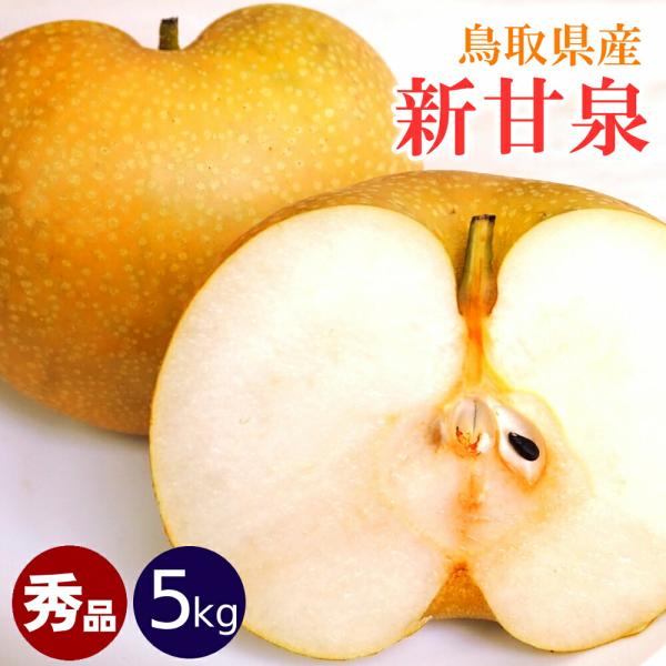 【発売日：2017年08月29日】商品名 新甘泉（しんかんせん）内容量・サイズ 5kgセット（L-2Lサイズ：14-18玉）ご贈答用 秀玉保存方法・賞味期限 冷暗所で保存、なるべくお早めに（１週間以内）お召し上がりください。生産地 鳥取県発...