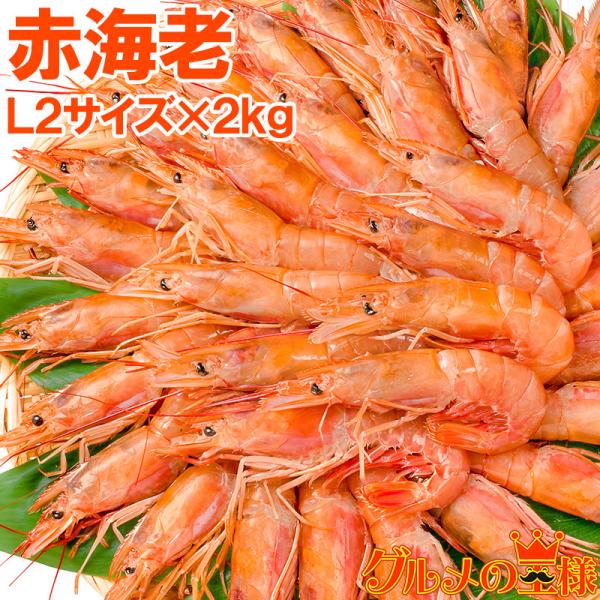赤海老2kg＜特大L2・40〜60尾・業務用1箱＞お刺身用赤えび。ぼたん海老を超える希少な超特大！大きくプリプリの赤海老は甘みが違う♪【赤えび 赤エビ あかえび アカエビ アルゼンチン 寿司 バーベキュー ＢＢＱ レシピ】【商品説明】赤海老...