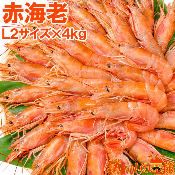 赤海老 赤えび 4kg 特大 L2 30〜60尾 業務用 2kg×2箱 赤エビ あかえび アカエビ 寿司 刺身用 :akaebi-l2 ...