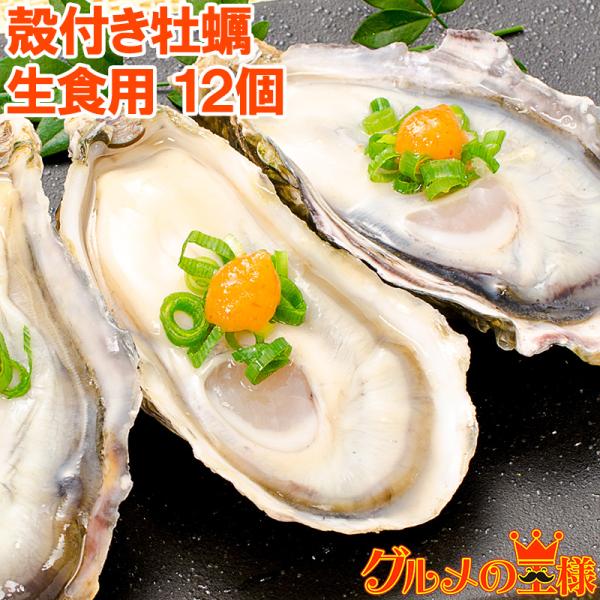 生牡蠣（１２個入り・冷凍殻付き牡蠣・生食）殻付きの冷凍生牡蠣！生食可能でプリプリのカキを是非一度。【冷凍生牡蠣】【かき】【カキ】【牡蠣】【カキフライ】【商品説明】冷凍殻付きかき（生食用）【原材料】マガキ【原産地】国産（兵庫、広島等）【内容量...