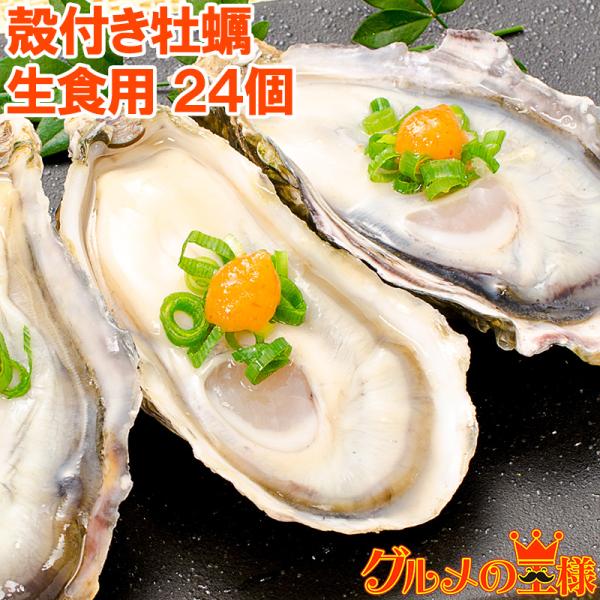 送料無料 生牡蠣（２４個・冷凍殻付き牡蠣・生食）殻付きの冷凍生牡蠣！生食可能でプリプリのカキを是非一度。【冷凍生牡蠣】【かき】【カキ】【牡蠣】【カキフライ】【商品説明】冷凍殻付きかき（生食用）【原材料】マガキ【原産地】国産（兵庫、広島等）【...