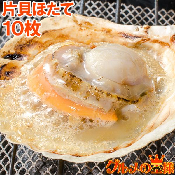 送料無料 ホタテ ほたて 特大 片貝ほたて 10枚入り （殻付きほたて 帆立 貝 バター焼き 浜焼き バーベキュー BBQ 業務用 築地市場 ギフト）【ほたて】【ほたて貝柱】【ホタテ】【ホタテ貝柱】【帆立】【帆立貝柱】【商品説明】ほたて貝【...