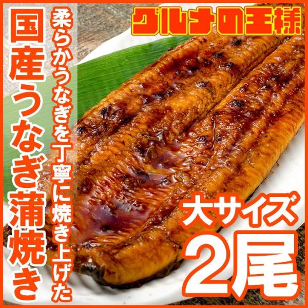 国産 うなぎ蒲焼き 160〜180g×2尾セット柔らかうなぎを丁寧に焼き上げた国産の最高級品質。・ウナギ 鰻 土用の丑 ギフト 築地市場うなぎ蒲焼（大サイズ160〜180g×2尾）・品種ジャポニカ種【原材料】名うなぎ（愛知・宮崎・鹿児島県産...