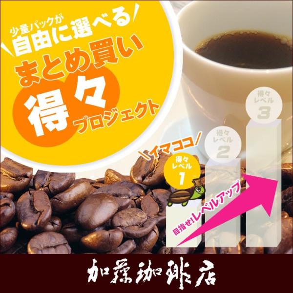 1袋でも、お得！2袋なら、さらにお得！！3袋なら、MAXでお得！！！9種類の珈琲豆からお好きな珈琲豆(200g)をお選び頂けます。【01:ドンデゥル】ブレンド・ドンデゥル【02:エスプレ】バリスタ仕様エスプレッソブレンド【03:Qグァテ】グ...