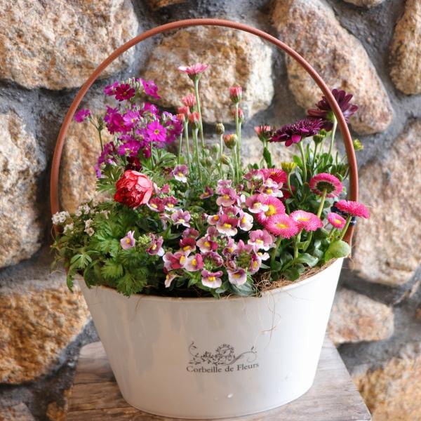 【当店オリジナル】 持ち手付き♪スプリングガーデンの寄せ植え 【現品２１９】写真のものが現品になります。季節の花苗を使い、可愛いパステルカラーの持ち手付き植木鉢に寄せ植えしました♪プロが配色から植え付けまで行ったこだわりの寄せ植えで、植える...