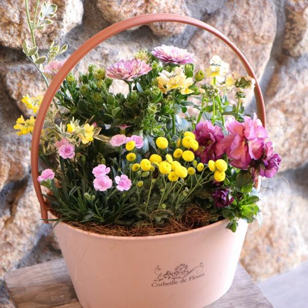 【当店オリジナル】 持ち手付き♪ピンクイエローガーデン寄せ植え 【現品２２３】写真のものが現品になります。季節の花苗を使い、可愛いパステルカラーの持ち手付き植木鉢に寄せ植えしました♪プロが配色から植え付けまで行ったこだわりの寄せ植えで、植え...