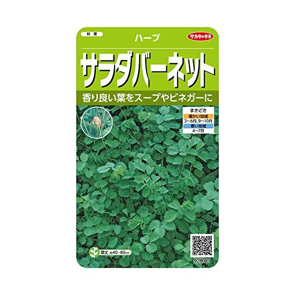 切替月:6月詰量:1.9ml発芽率:65採苗本数:40春秋扱い:春秋兼用種春:*秋:*DIY・工具・ガーデン/ガーデン/種・苗/種/ハーブ
