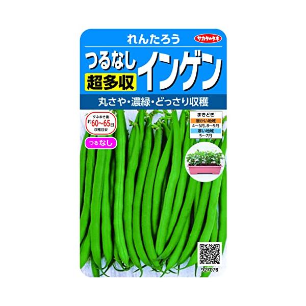 春まき、秋まきDIY・工具・ガーデン/ガーデン/種・苗/種/ハーブ