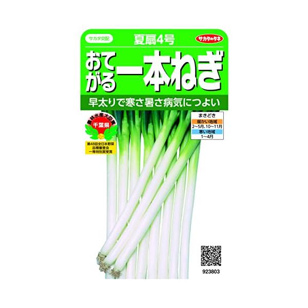 春まき、秋まきDIY・工具・ガーデン/ガーデン/種・苗/種/ハーブ