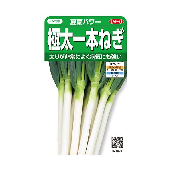 春まき、秋まきDIY・工具・ガーデン/ガーデン/種・苗/種/ハーブ