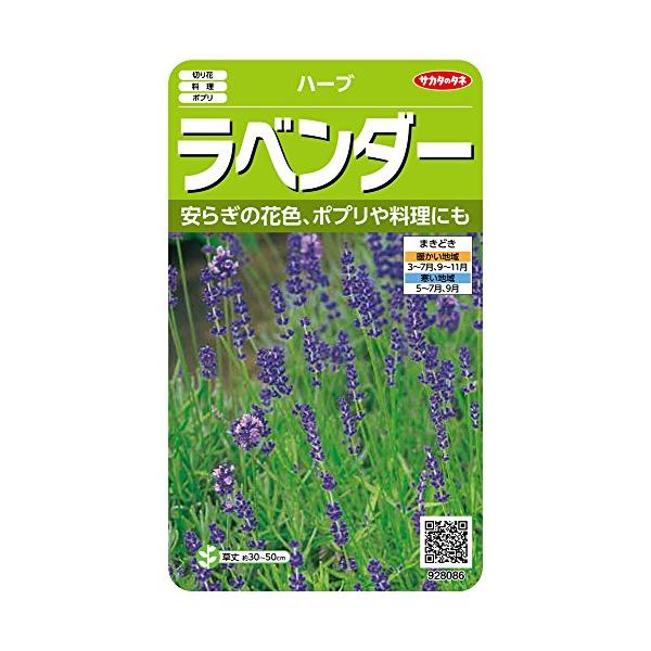 切替月:6月詰量:0.1ml発芽率:50%採苗本数:30春秋扱い:春秋兼用種まきどき:春・秋DIY・工具・ガーデン/ガーデン/種・苗/種/ハーブ