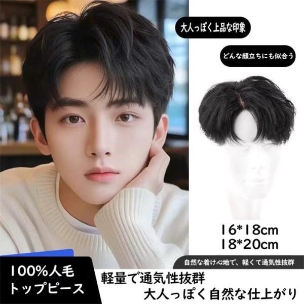 [ セット内容 ]ウィッグ※記載のないアクセサリー、小物等は付属されません。[ カラー ]写真にご参考下さい[ 素材 ]人毛[ サイズ ](cm)16×18cm/18×20cm※表記寸法と実寸値の多少の誤差はご容赦ください。※ご注意：詳しい...