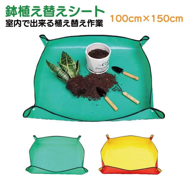 品番：CZ-RST-100150商品名：鉢植え替えシート 全2カラー 100cm×150cmサイズ：100cm×150cmカラー：・グリーン・イエロー&amp;オレンジ素材：ポリエチレン入数：1枚注意事項※デザイン、形状は仕様の一部が予告な...