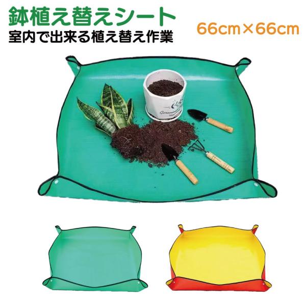品番：CZ-RST-6666商品名：鉢植え替えシート 全2カラー 66cm×66cmサイズ：66cm×66cmカラー：・グリーン・イエロー&amp;オレンジ素材：ポリエチレン入数：1枚注意事項※デザイン、形状は仕様の一部が予告なく変更となる...