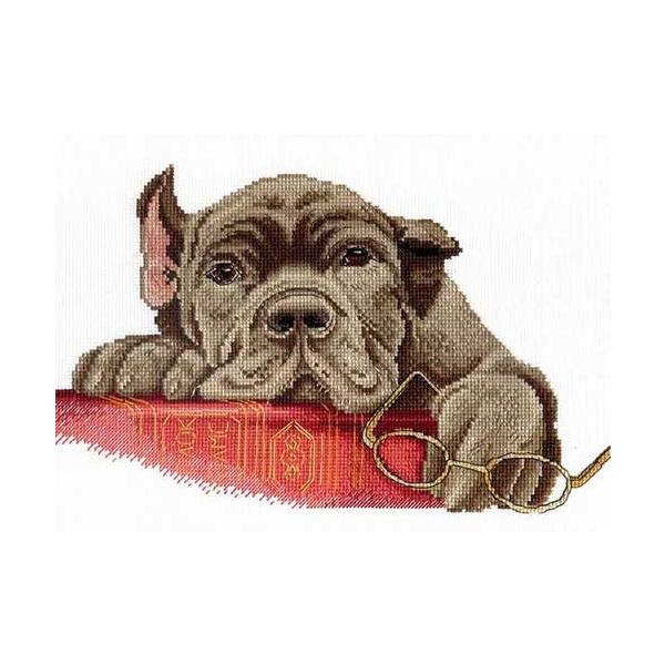 ＭＰスタジオ、【ＨＢシリーズ】のクロスステッチ刺繍キットです。ＭＰスタジオはロシアのメーカーです。■サイズ：20 × 28 センチ（余白を含む）■キット内容・刺繍糸・刺繍布(無地)　アイーダ14カウント（1センチに5.5目）・針・カラー図案...