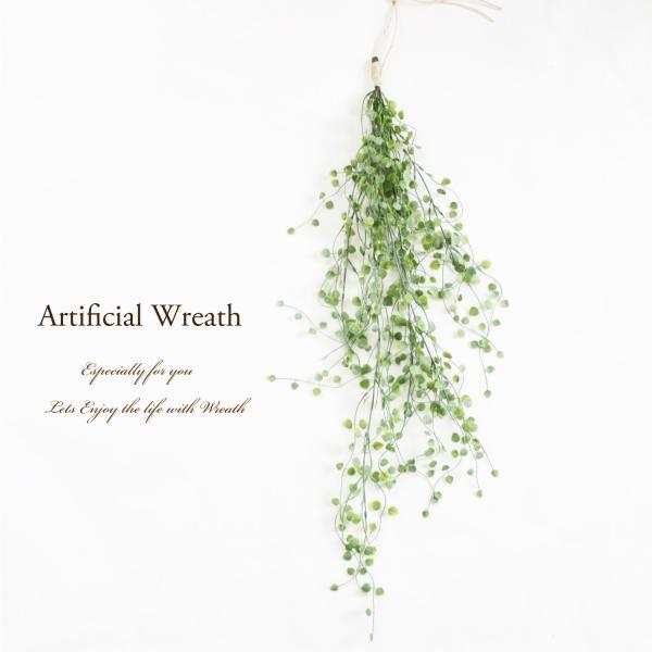 観葉植物の壁掛けリース（ハートカズラ）＊ハートカズラにはワイヤーは入っていません。自由に形を整える事ができません。画像のように広げるには虫ピンやテープを使って持ち上げたり、広げたりしています。●封筒に入れた簡易包装でお送りいたします。　お届...