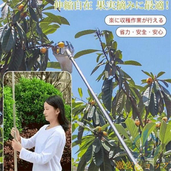 リンゴ、アボカド、オレンジ、プラム、ネクタリン、桃、マンゴー、パパイヤ、梨、レモン、ライム、キウイ、グレープフルーツ、ザクロ、イチジク、アプリコット、柿など！  ピッキング口には複数の凹面の滑らかな歯があります。また、果物のピッカーは耐久性...
