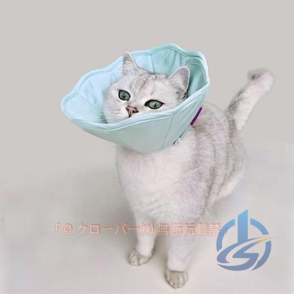 【多機能】犬?猫の皮膚病、避妊?去勢手術、かゆみ、赤みや手術の回復過程等で、傷口を舐めたり、噛んだりする行為を防ぐ機能に加え、爪切りや入浴の際などにもご活用頂けます。検索ワード：ソフト 軽量 猫 術後ケア 傷舐め防止 引っ掻き防止 爪切り ...