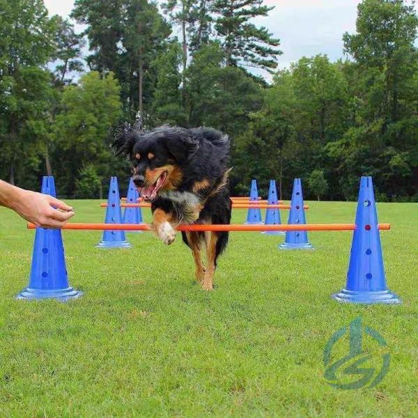 ドッグアジリティ トレーニング コーン ポール セット アジリティー 犬 ジャンプバー ハードル 犬用 ドッグ 障害物 柵 競技 競争 練習 ジャンプ