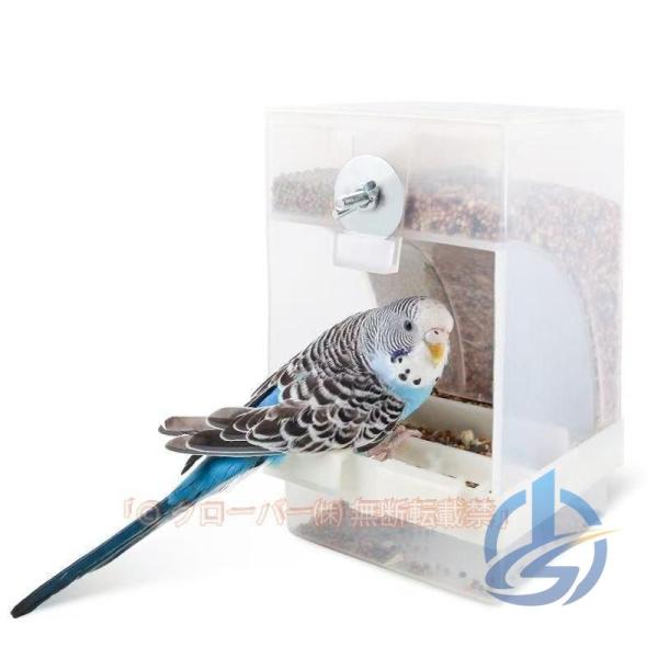 バードフィーダー 鳥 餌入れ 水入れ 自動 小鳥 餌台 食器 インコ 自動給餌器 自動給水器 オウム えさ入れ えさいれ 鳥の餌台 500gの大容量 大容量で、フードがたっぷり入ります。残量も一目で分かるクリアカラーで、長時間のお留守番も安...