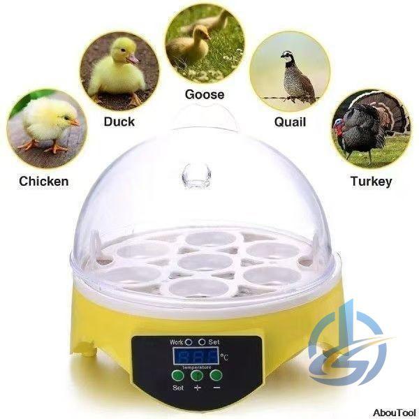 孵卵器 インキュベーター ふ卵器 孵化器 7個 自動温度調節 シンプル 簡単操作 孵卵機 ふ卵器 大容量 孵化器 鳥類全自動孵卵器 デジタル温度制御装置