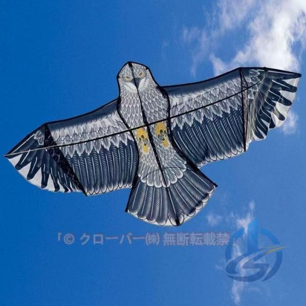 鳥よけ カイト 鷹 (ポール竿付) 軽量丈夫 防鳥具 鳥追い 畑 植物保護 農業用 カイト鷹 1.5m凧 4mポール