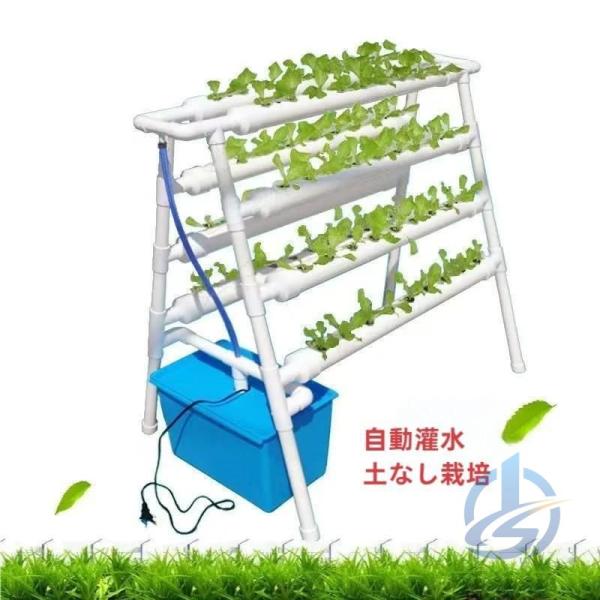 水耕栽培キット すいこう栽培キット いちご 野菜 栽培キット 室内 家庭菜園 水耕栽培セット プランター72穴 (72 穴)