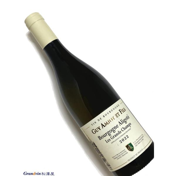 Domaine Guy Amiot et Fils Bourgogne Aligote Les Grands Champs白ワイン　750ml[ＡＯＣ］ブルゴーニュ アリゴテ[輸入元のコメント］一部小樽で発酵、熟成させた、贅沢なブルゴーニュ...