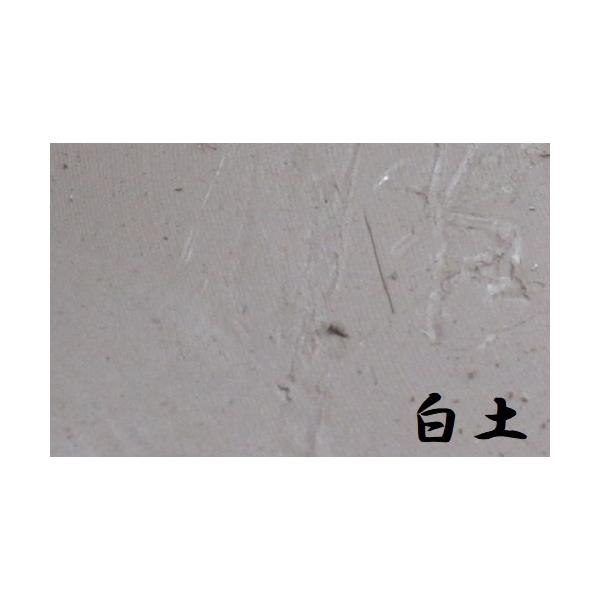 信楽土の中で最も使いやすい陶土です。手びねりはもちろん、ひも作り、タタラつくりなど、幅広い技法で使えます。初心者の方にはお勧めです。白土なので練りこみ様顔料を使った作品や、食器などを作るのにも向いています。□品名：信楽白土□フルイ目[メッシ...