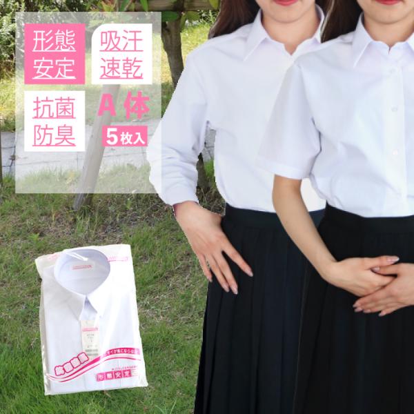 【商品名】スクールタイガーα 女子長袖半袖ワイシャツ A体(標準)5枚入形態安定・吸汗速乾・抗菌防臭品番:長袖 S5100L（37100L）・半袖 S5500L（37500L）【特徴】学生服業界を代表する大手4大ブランドの一つ「スクールタイ...