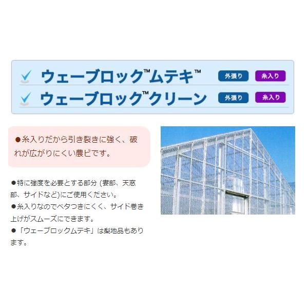 【取寄商品】受注後に取寄せいたします。お届けまで１週間程度要します。