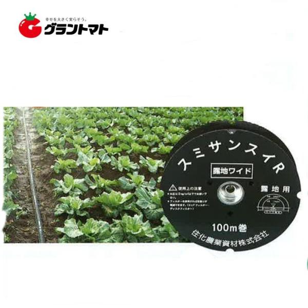 【取寄商品】受注後に取寄せいたします。お届けまで１週間程度要します。