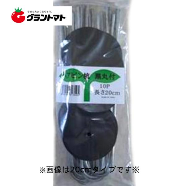 【ゆうパケット可】A４サイズ・厚さ3ｃｍまでなら送料300円でお送りできます。備考欄に「ゆうパケット希望」とご記入ください