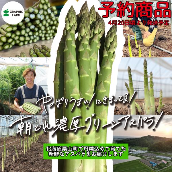 【発売日：2026年04月20日】北海道栗山町の中でもアスパラ栽培に適した、昼夜の寒暖差が大きい中山間地にある農場で手塩にかけて育てた、優しい甘さがぎゅっと詰まったアスパラです。せいいっぱい葉を茂らせ、昼間にたくさん光合成をしたアスパラは夜...