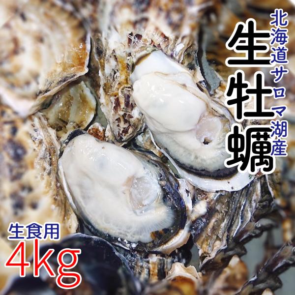 【発売日：2026年01月12日】北海道のサロマ湖で手塩にかけて2年間育てられ、湧別町芭露で水揚げされた殻付きの生牡蠣です。サロマ湖の牡蠣は寒水に揉まれて育ちます。 周りの豊かな山々から流れこむ栄養豊かな川の水と、流氷の運んでくる餌をしっか...