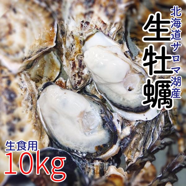 【発売日：2026年01月12日】北海道のサロマ湖で手塩にかけて2年間育てられ、湧別町芭露で水揚げされた殻付きの生牡蠣です。サロマ湖の牡蠣は寒水に揉まれて育ちます。 周りの豊かな山々から流れこむ栄養豊かな川の水と、流氷の運んでくる餌をしっか...