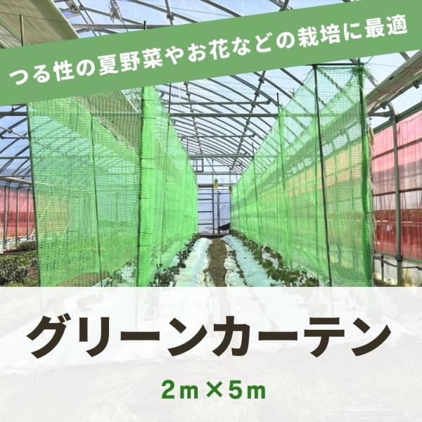 ご自宅や会社などでエコロジーな緑のカーテンを作りませんか？栽培も収穫も楽しめるつるが絡みやすい二重編み構造のネットです。素材・製造から縫製まで日本製です。商品名　　　グリーンカーテンサイズ　　　2ｍ×5ｍカラー　　　グリーン目合い　　　15...