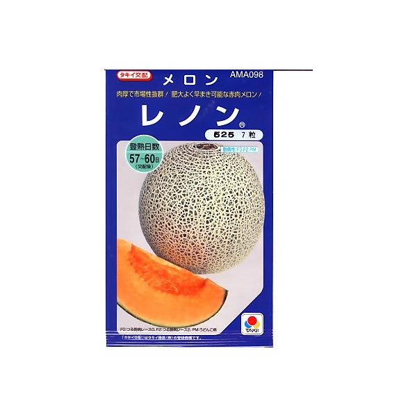 最近人気の赤肉メロンのレノンです。果肉部分が厚くて、赤肉の色上がりもよいネットメロンです。種の部分が少なく果肉部が厚いので食べ応えがあり、食味も甘くて美味しいと人気があります。実の秀品率も高くてそろいも良く、見た目も良いのでスーパーや八百屋...