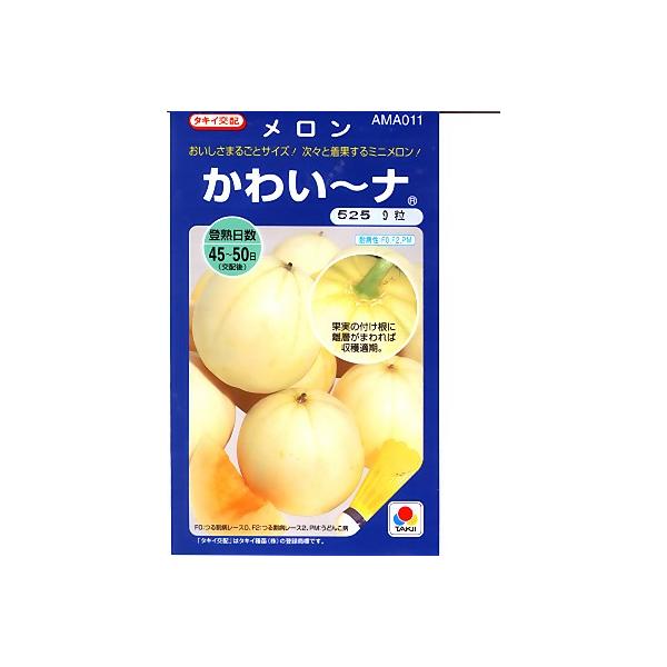 かわい〜ナは、家庭菜園向きのメロンの種です。小さなメロンがいっぱい取れるノーネットメロン種です。家庭に４〜５本植えておくととっても便利だと思います。おやつや食後のデザートに最適です。子供がとても喜ぶ野菜はメロンなので、子供と一緒に家庭菜園を...